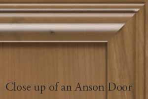Anson Traditional Style Omega Cabinets|Modern Image Interiors