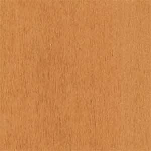 Stains on Maple Omega Cabinetry|Modern Image Interiors