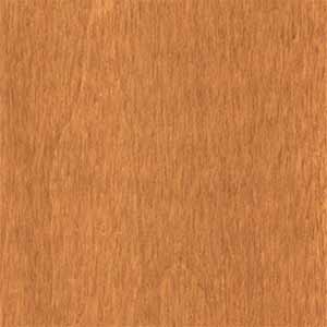 Stains on Maple Omega Cabinetry|Modern Image Interiors